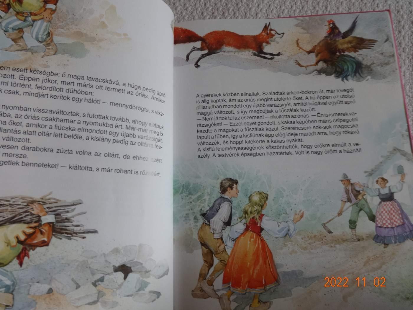 HAMUPIPŐKE ÉS MÁS MESÉK - A világ legszebb meséi sorozatból - Geraldino ...