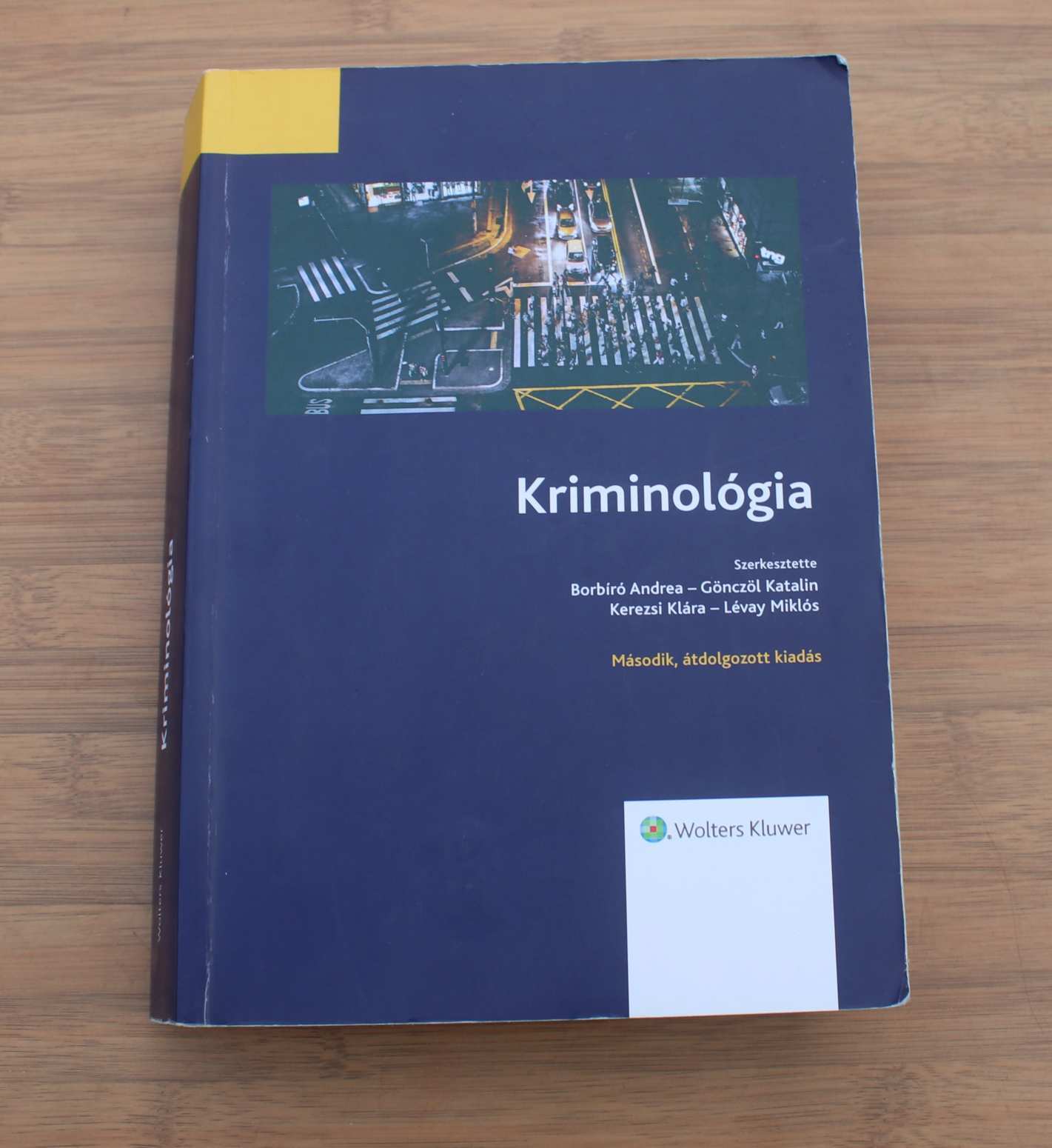 Borbíró Andrea - Gönczöl Katalin - Kerezsi Klára - Lévay Miklós ...