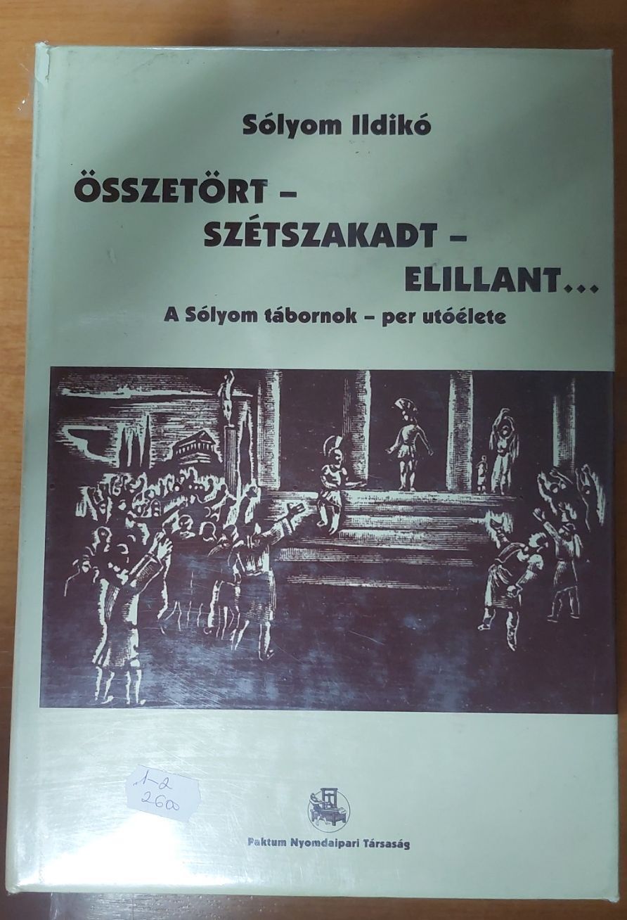 Sólyom Ildikó: Összetört... szétszakadt... elillant... (A Sólyom ...