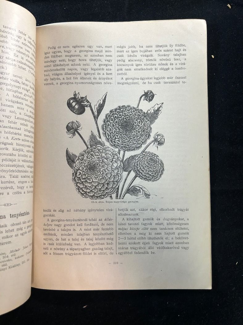 Mauthner Ödön : A kert. (77-ik) - A kertészet összes ágait magába ...